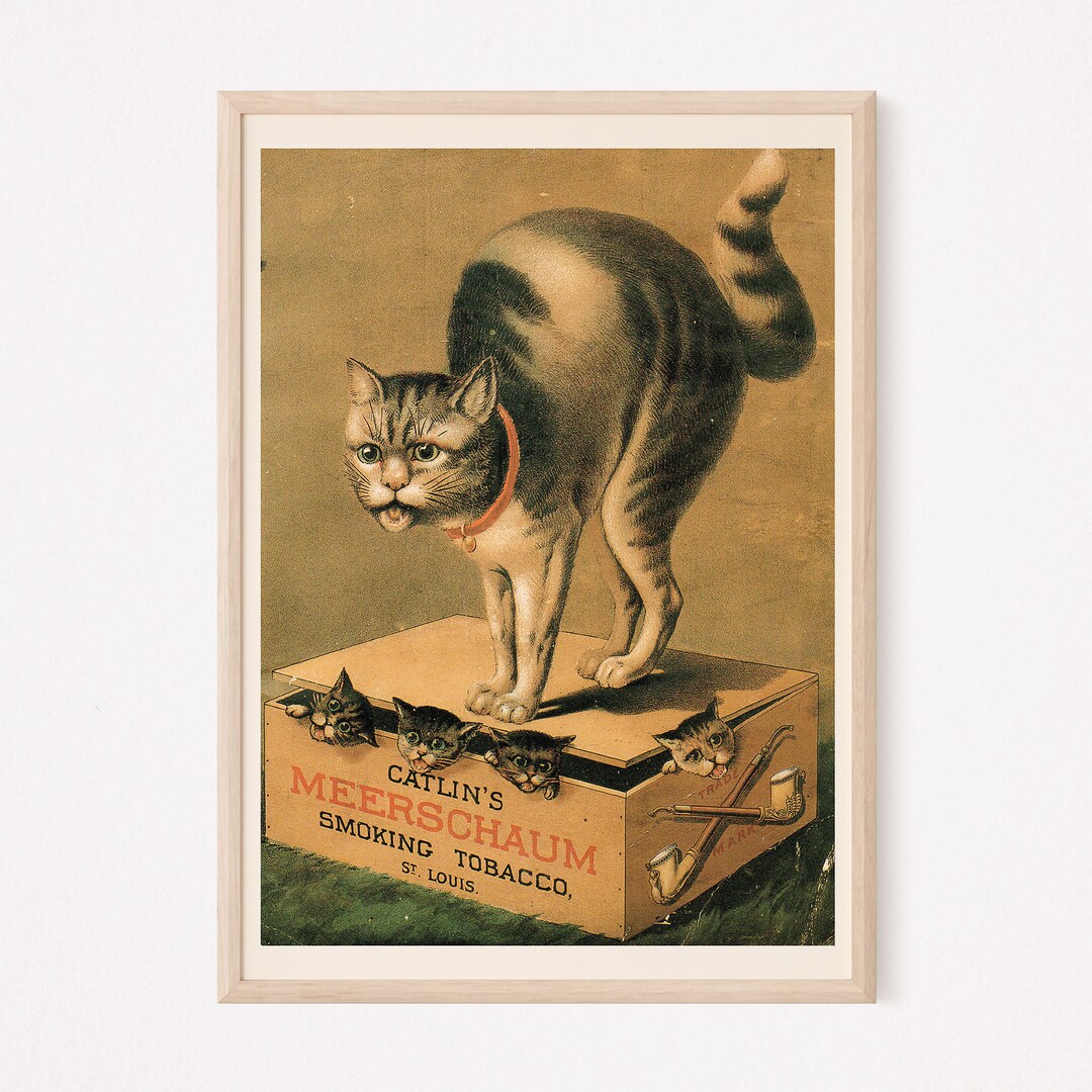Antique TOBACCO PIPE ART, Meerschaum Pipe Sign, Antique Cat Poster, Man ...