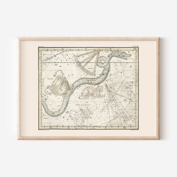Hydra zodiac 60 photos - Youhoroscope.com