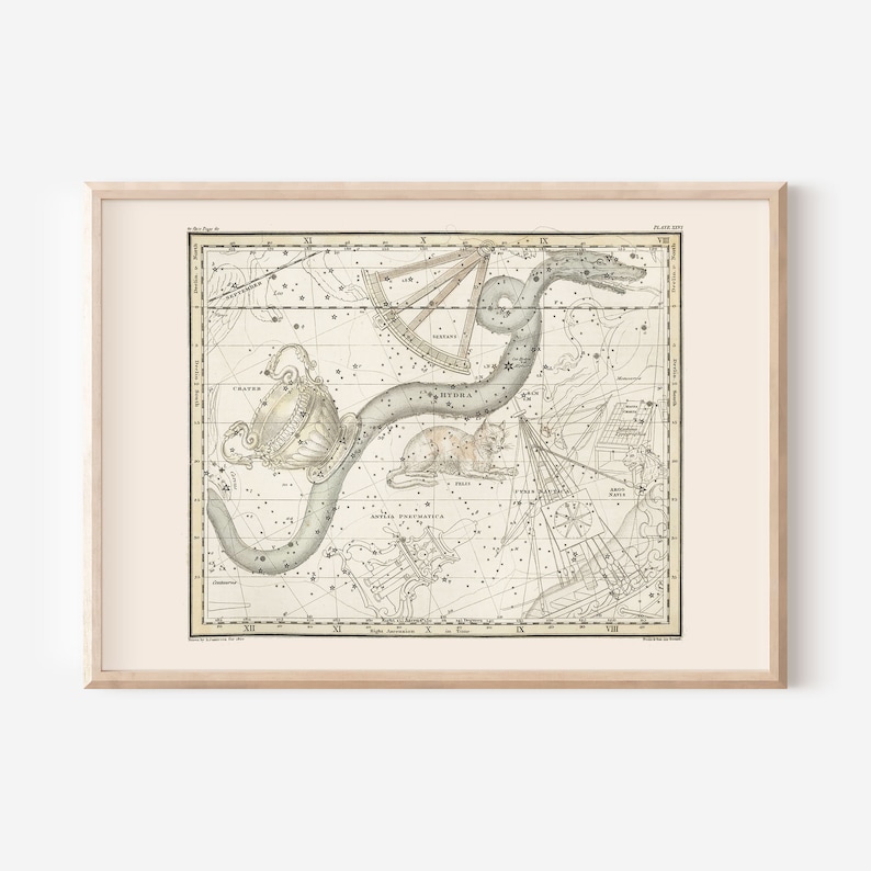 HYDRA and FELIS Star Map Print Zodiac Sign Print - Etsy