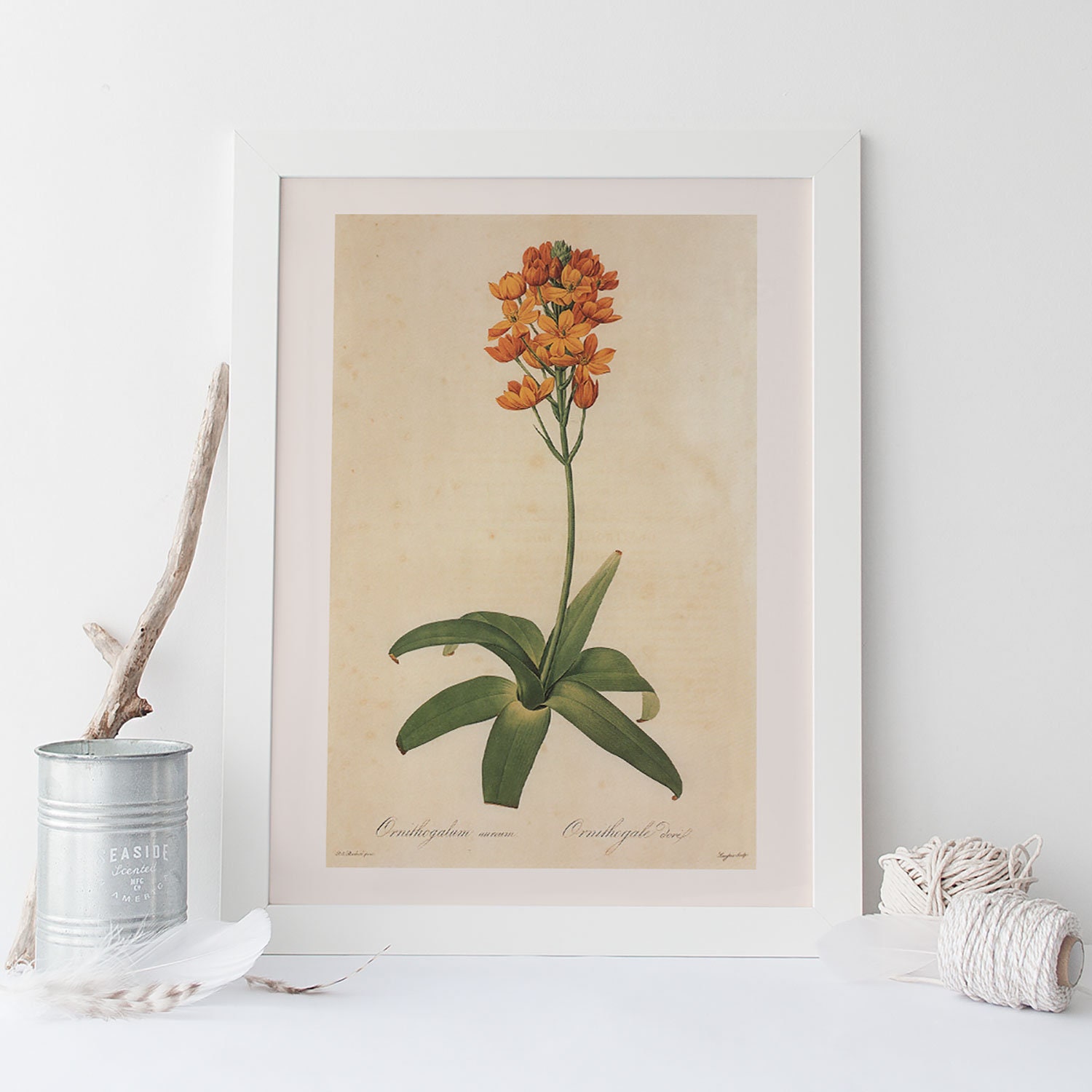 Lithographs YELLOW STAR of BETHLEHEM Print Vintage lithograph from 1894 ...