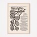 ANTIQUE BANJO ADVERTISEMENT, Vintage Banjo Ad, Old Banjo Poster, Banjo ...