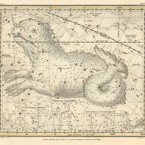 CETUS MAP Print Zodiac Sign Print Professional | Etsy