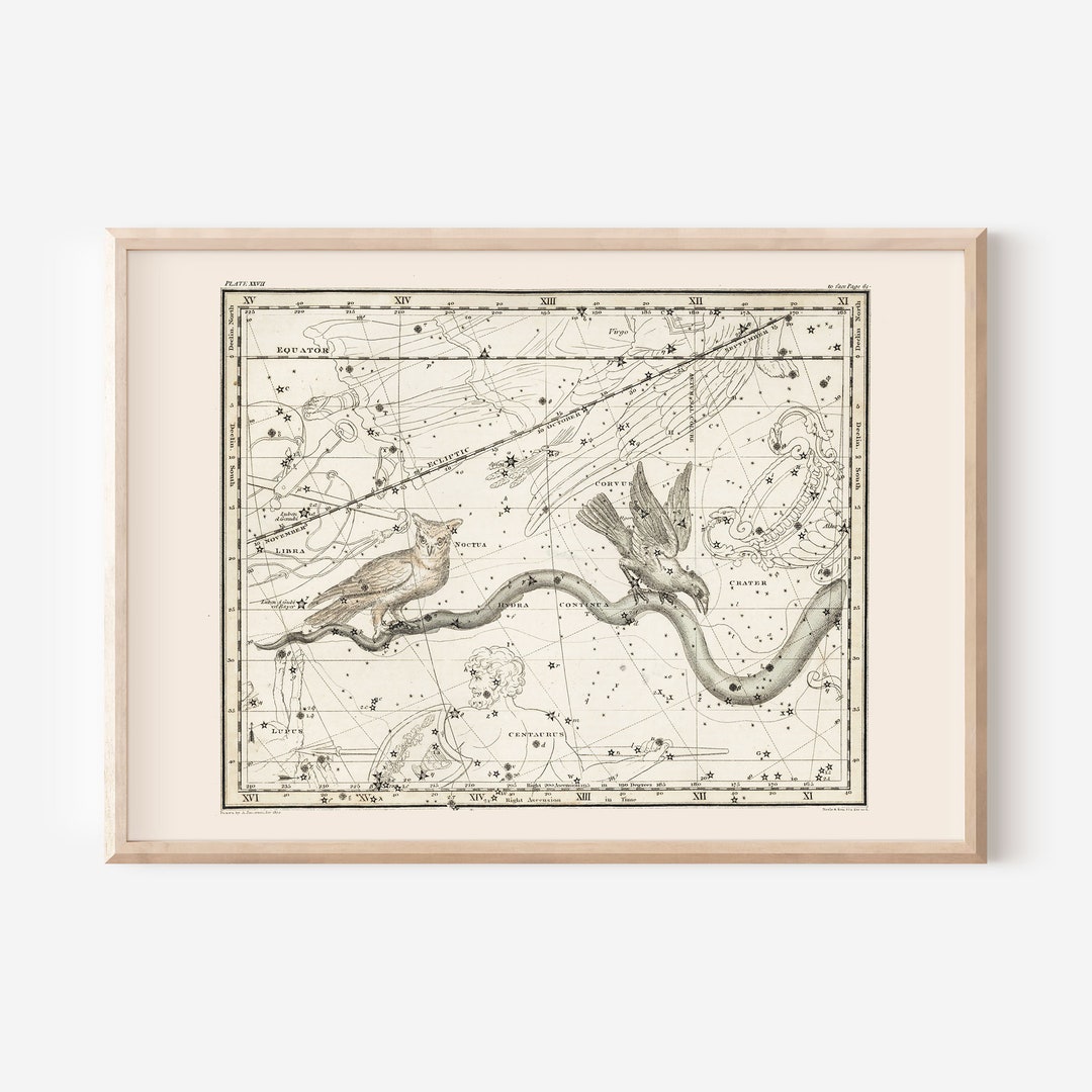 HYDRA STAR MAP Print, Zodiac Sign Print, Professional Reproduction ...