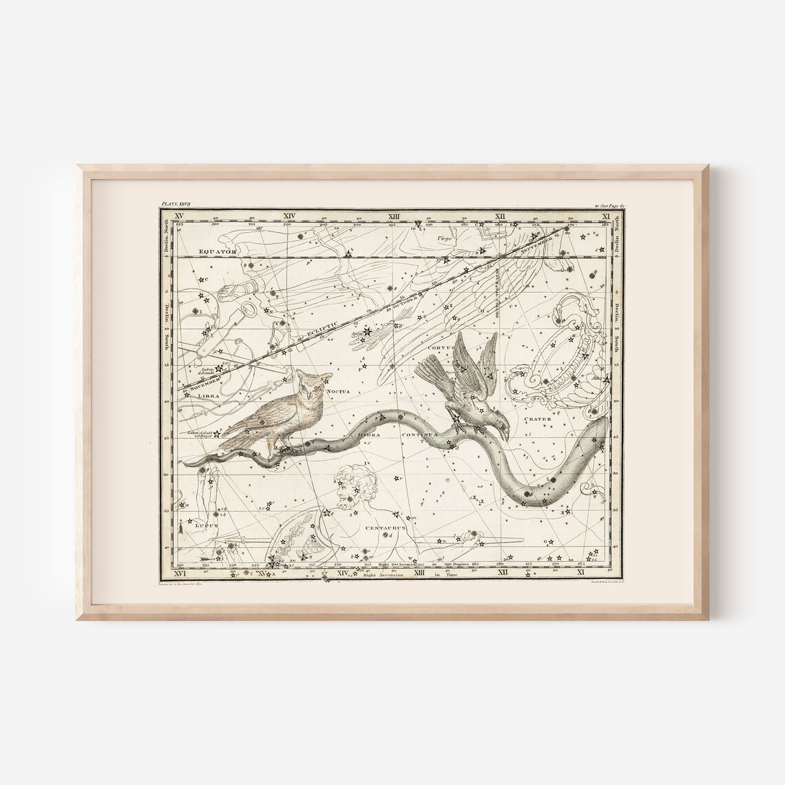 HYDRA STAR MAP Print Zodiac Sign Print Professional - Etsy