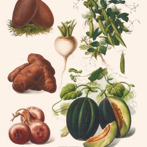 KITCHEN ART PRINT, French Decor Print, Antique Kitchen Wall Art ...