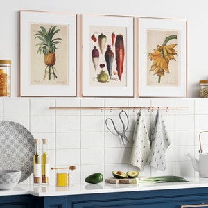 ANTIQUE BOTANICAL PRINT, French Kitchen Art, Classic Wall Art ...