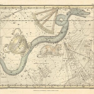 HYDRA and FELIS Star Map Print Zodiac Sign Print | Etsy