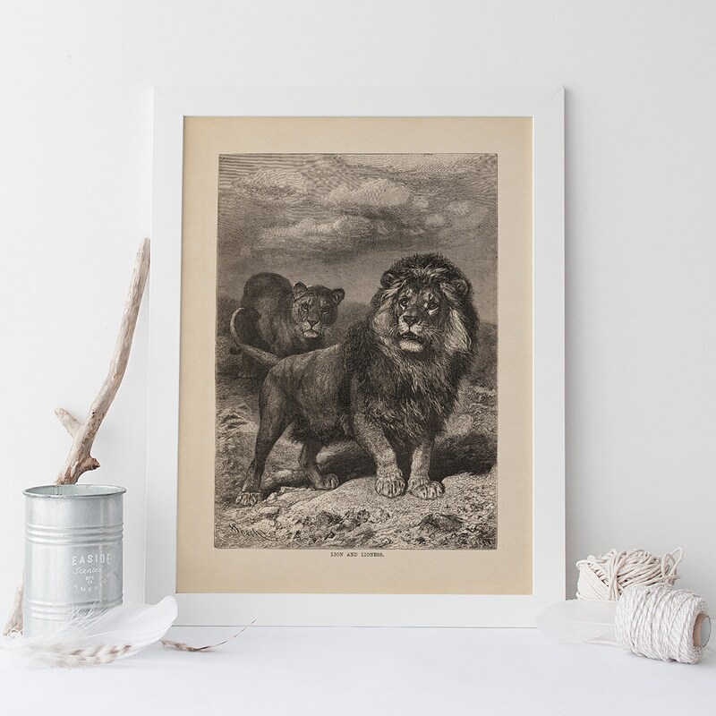 Lion Print - Etsy