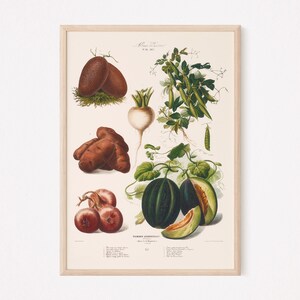 KITCHEN ART PRINT, French Decor Print, Antique Kitchen Wall Art ...