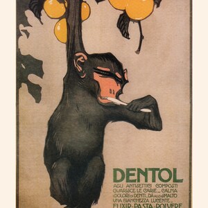 ITALIAN MONKEY POSTER, Toothpaste Ad, Antique Monkey Poster, Antique ...