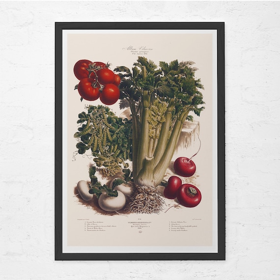 ANTIQUE KITCHEN POSTER Kitchen Wall Art Antique Food Lover | Etsy