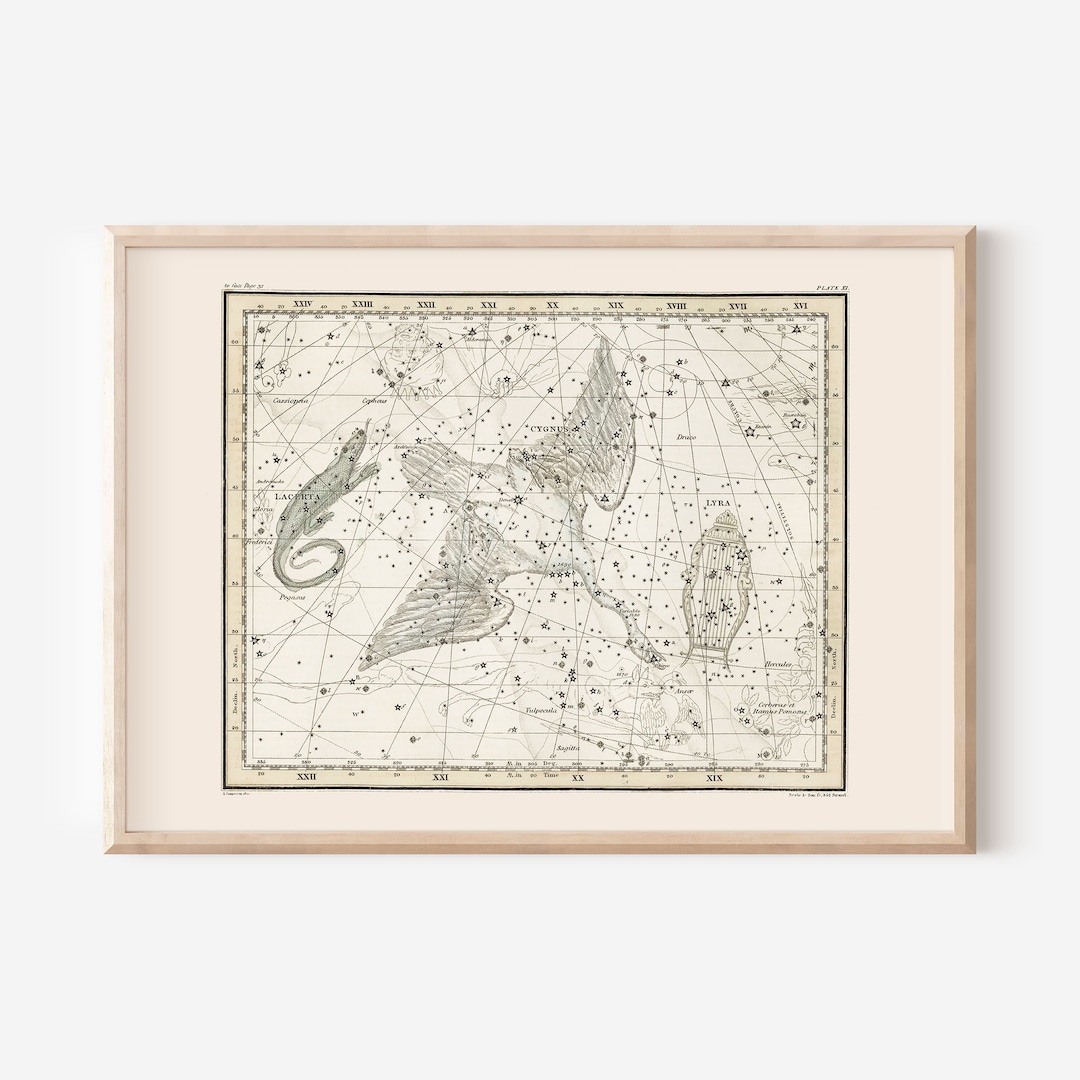 CYGNUS Star Map Print, Zodiac Sign Print, Professional Reproduction ...