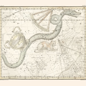 HYDRA and FELIS Star Map Print, Zodiac Sign Print, Zodiac Sign Gift ...