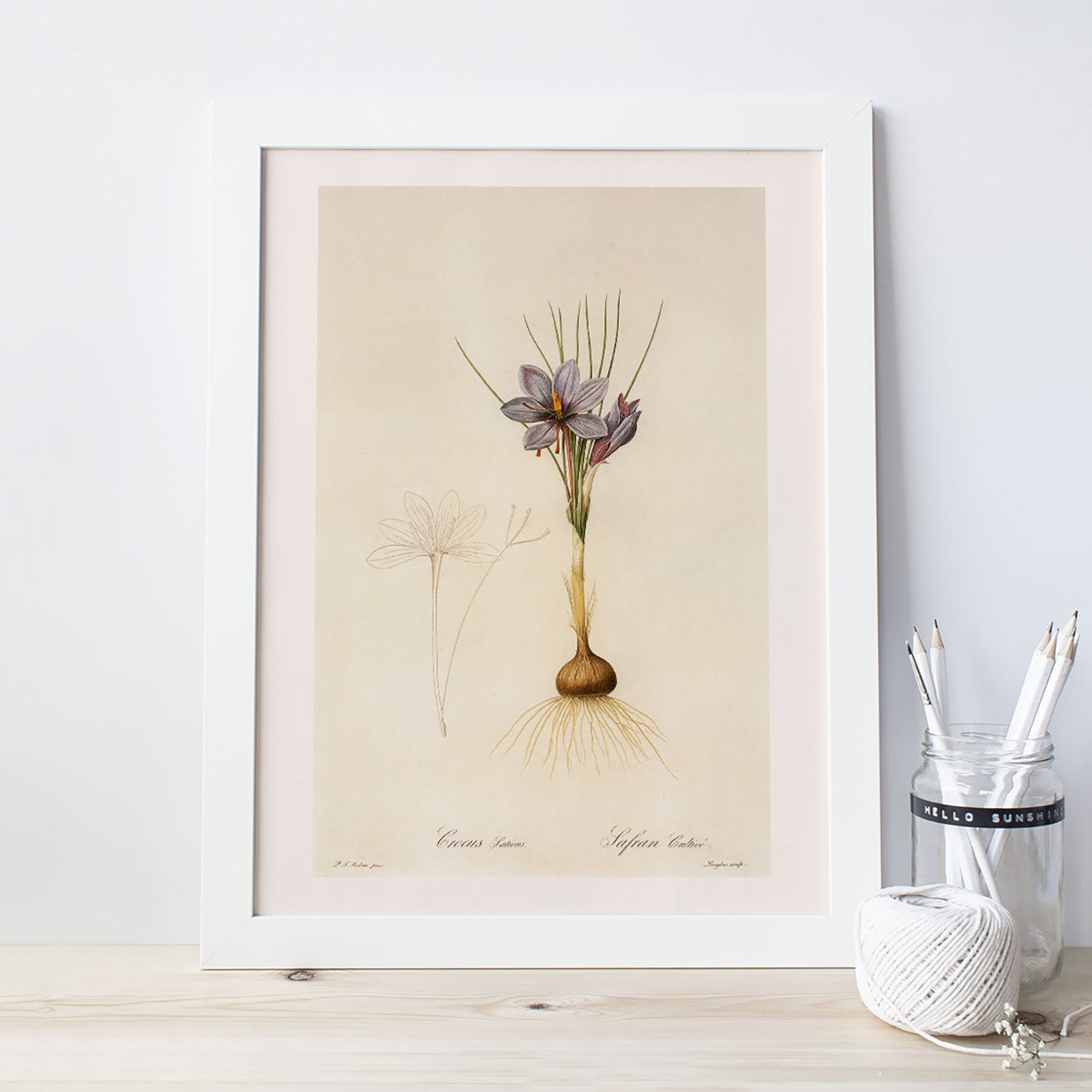 SAFFRON CROCUS POSTER Flower Art Print Redouté - Etsy