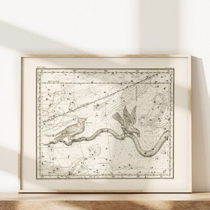 HYDRA STAR MAP Print, Zodiac Sign Print, Professional Reproduction ...