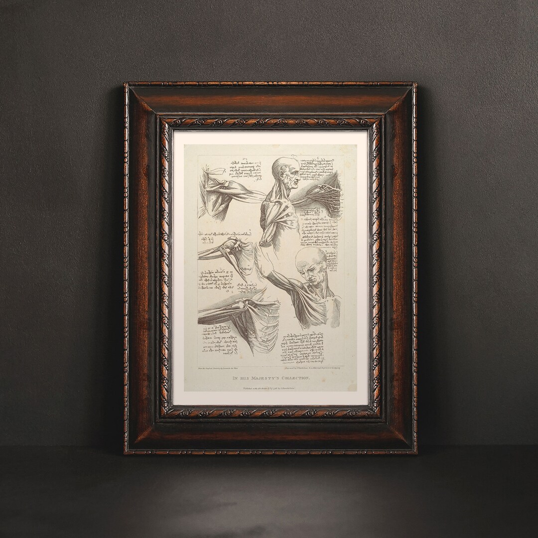 ANTIQUE ANATOMICAL SKETCH, Medical Study Print, Dark Academia Decor ...