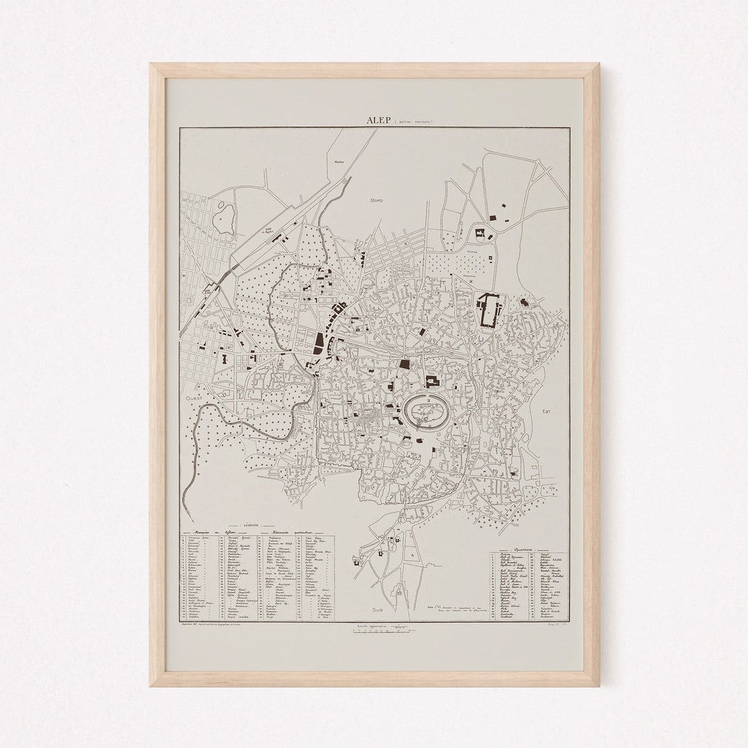 ANTIQUE ALEPPO MAP, Antique Map of Aleppo Syria, Professional ...
