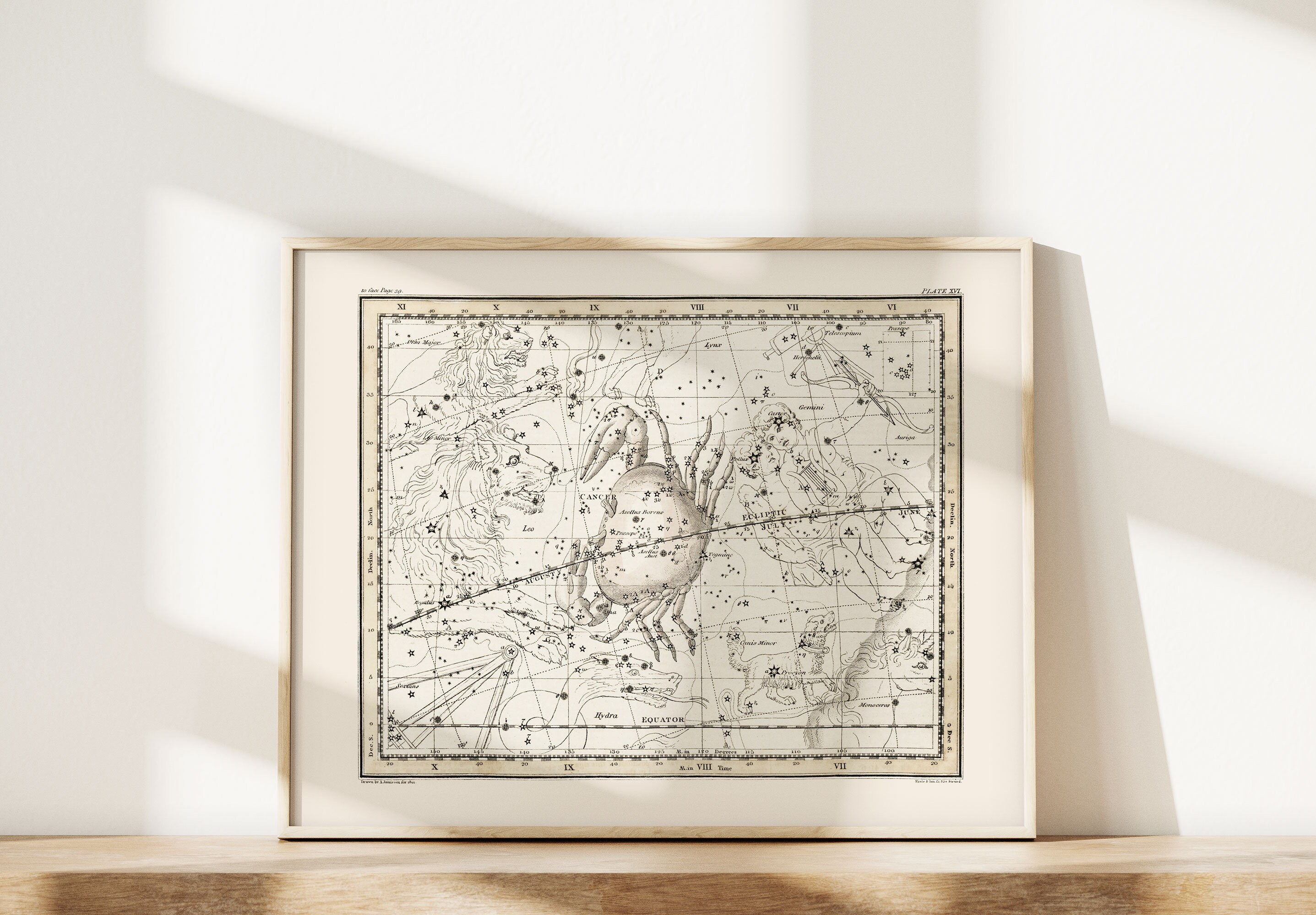 CANCER SIGN MAP Print Zodiac Sign Print Professional - Etsy Canada