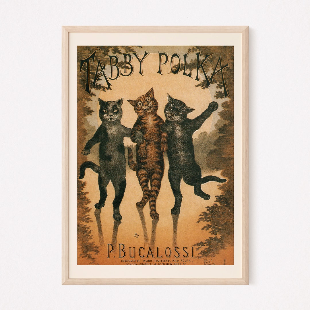 CRAZY CAT POSTER, Tabby Polka Cat Print, Cat Lover Poster, Vet's Wall ...