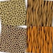 Animal Print Digital Paper: textured Animal Prints - Etsy