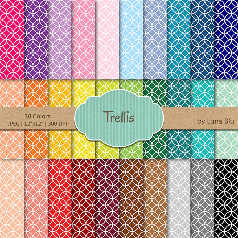 Trellis Digital Paper Pack: rainbow Trellis - Etsy