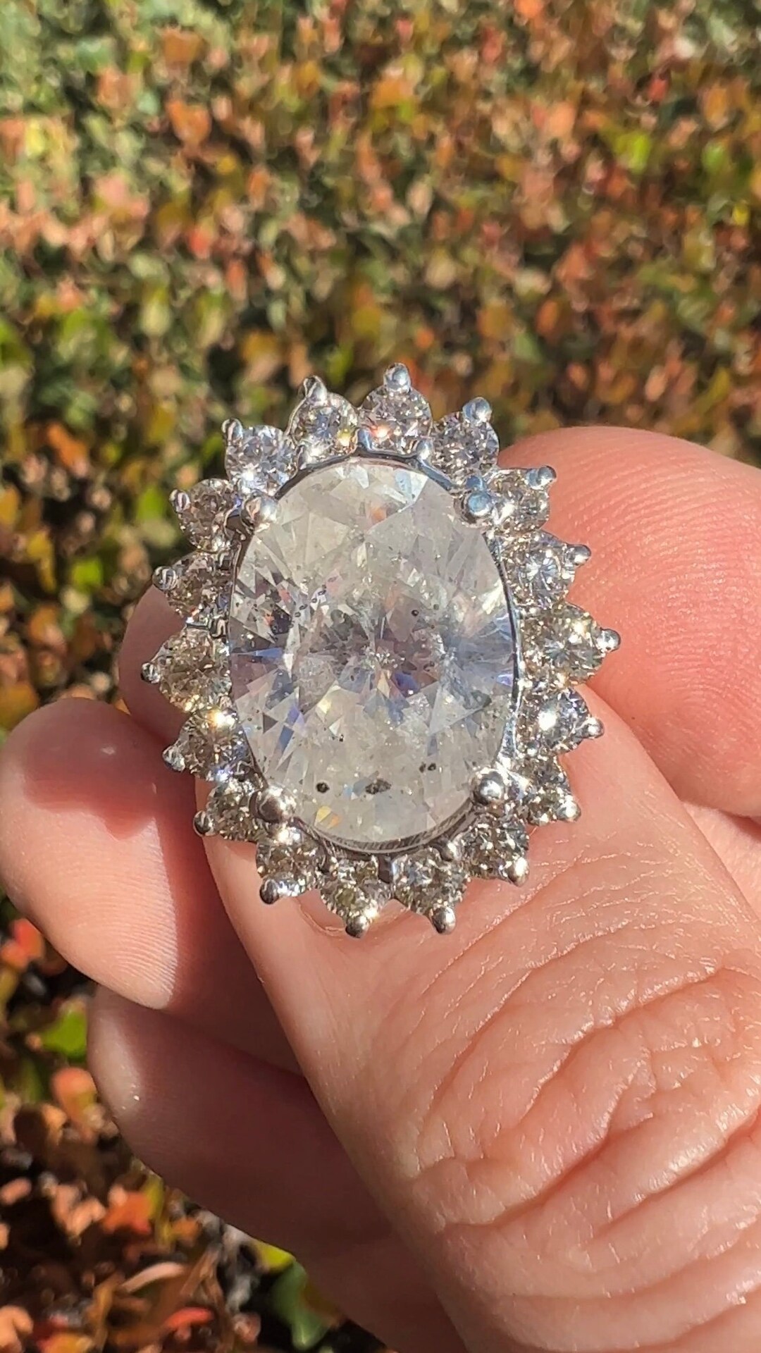 9.03CT Natural Diamond Oval Cut Shape Solitaire Halo Engagement Rings ...