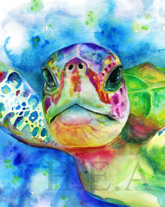 Sea Animal Paintings