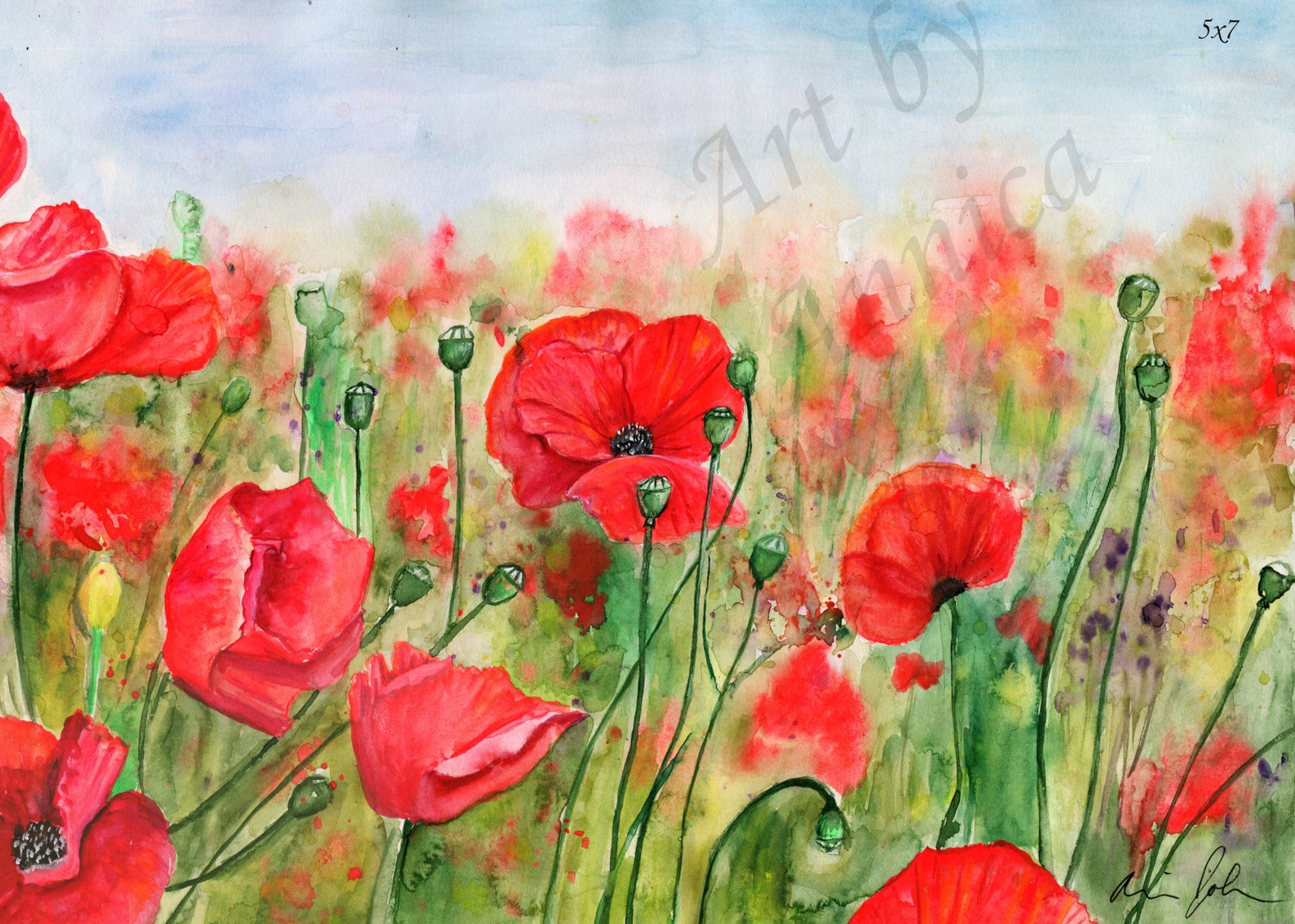 Red Poppy Watercolor Painting Red Flower Painting Red - Etsy