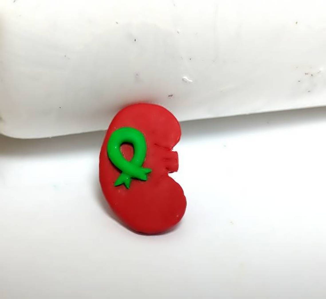 Handmade Kidney Pin: Organ Donor Awareness Gift - Etsy