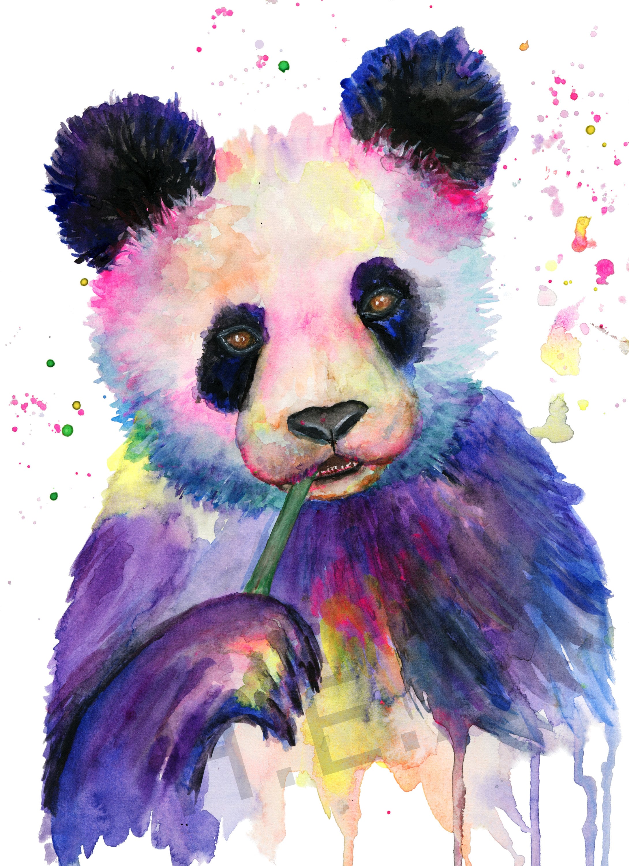 Colorful Panda Bear Wall Art Panda Bear Art Print Watercolor - Etsy