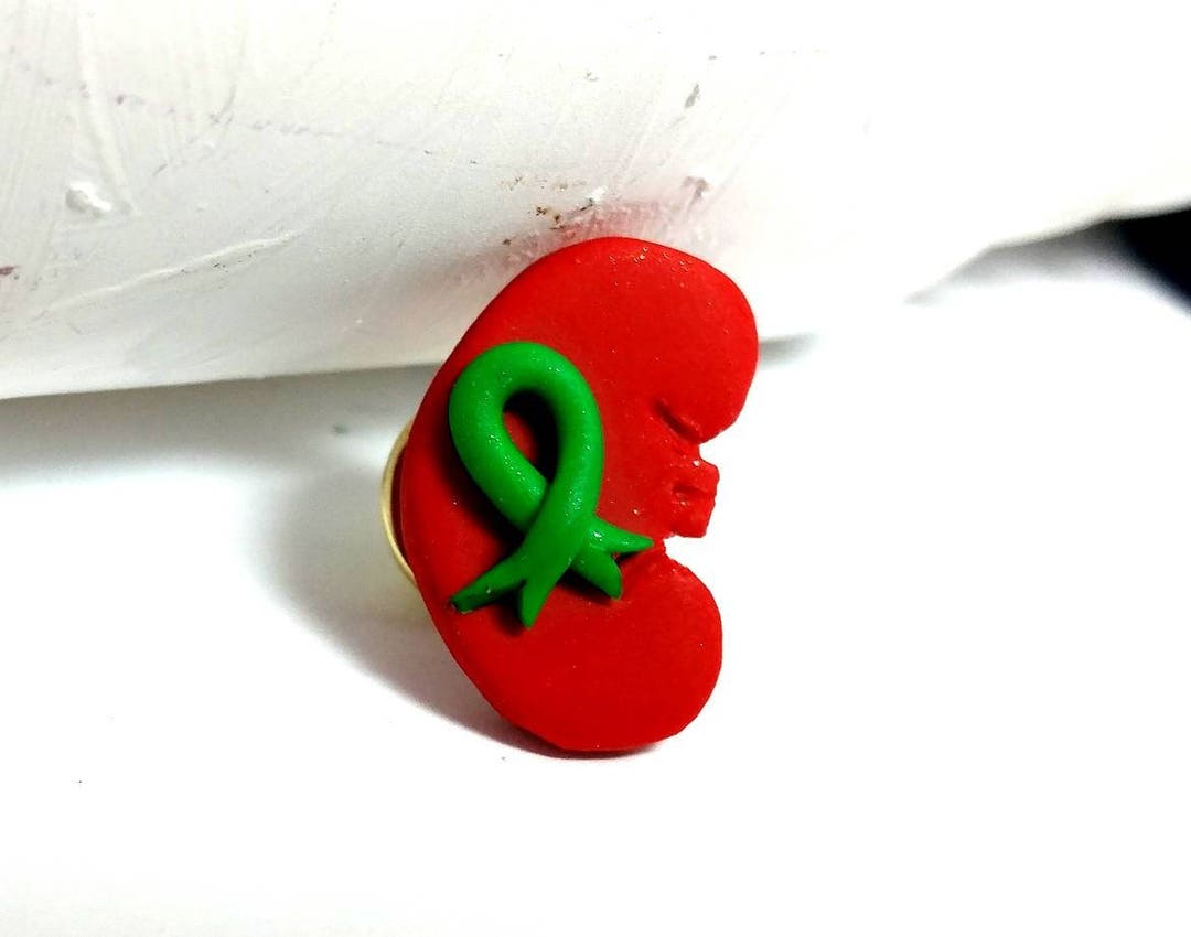 Handmade Kidney Pin: Organ Donor Awareness Gift - Etsy