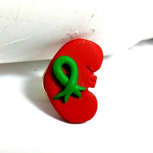 Handmade Kidney Pin: Organ Donor Awareness Gift - Etsy