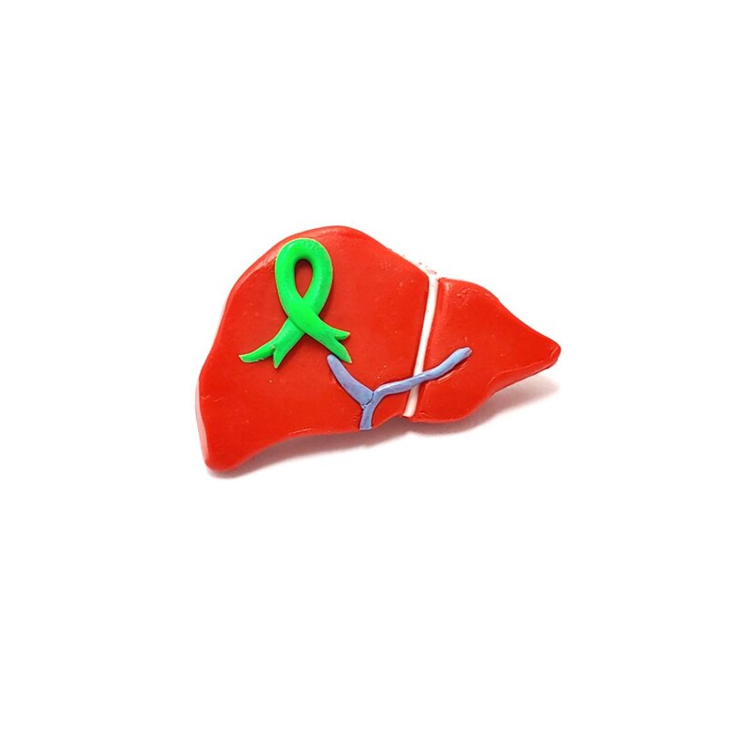 Liver Transplant - Etsy