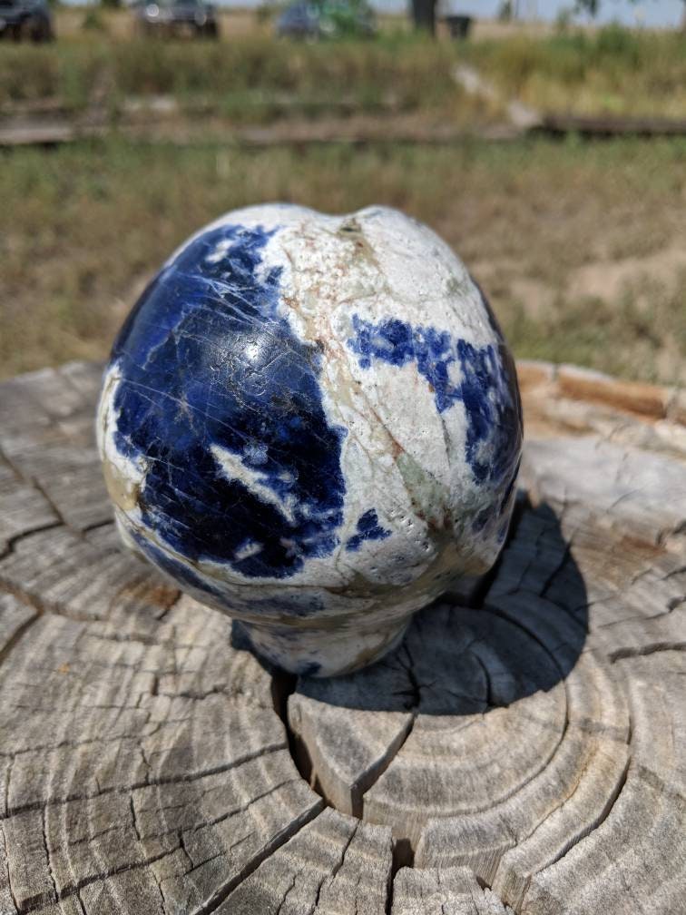 Sodalite Stone Alien Head With Tiger's Eye Alien Eyes Sodalite, Tiger's ...