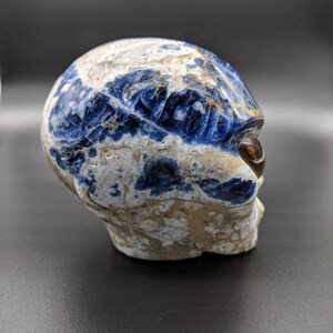 Sodalite Stone Alien Head With Tiger's Eye Alien Eyes 4.2" - Etsy