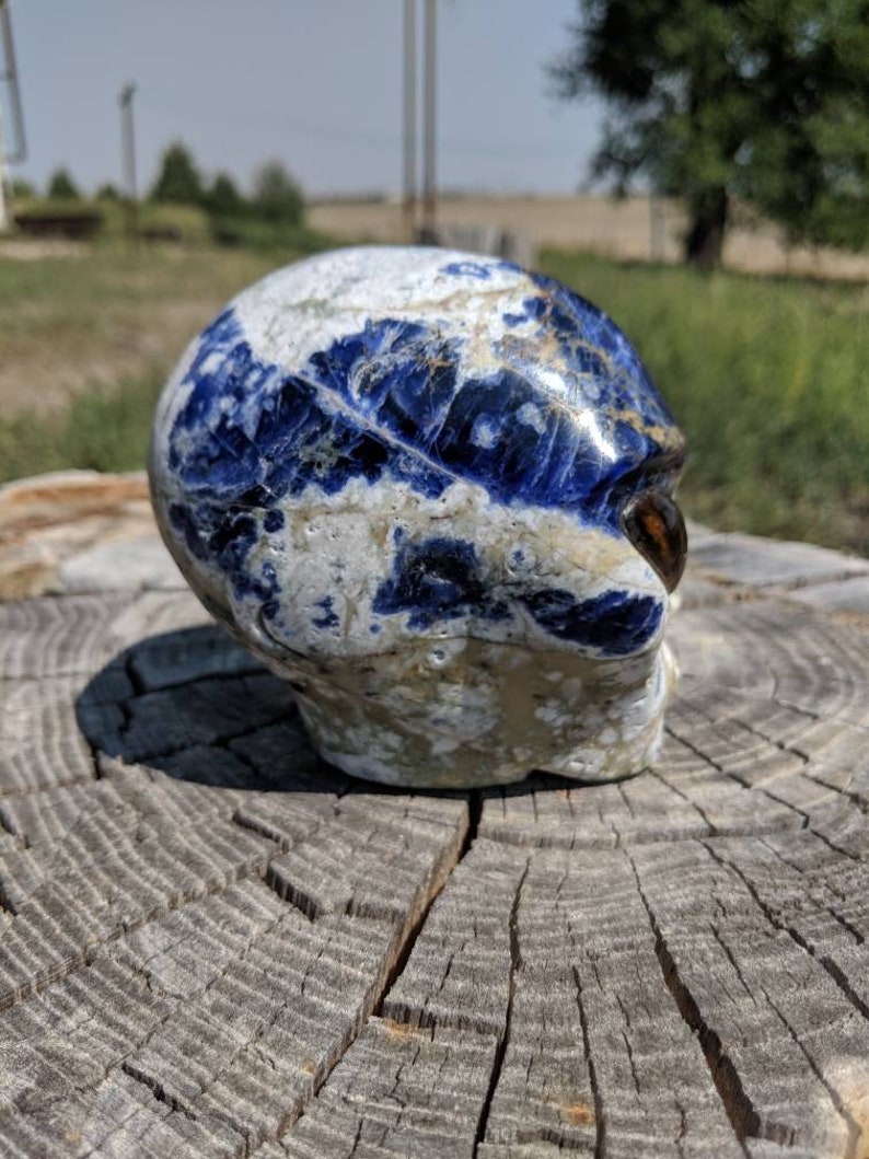 Sodalite Stone Alien Head With Tiger's Eye Alien Eyes Sodalite, Tiger's ...