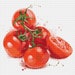 Tomatoes Cross Stitch Pattern 1 Instant PDF Download Tomato - Etsy