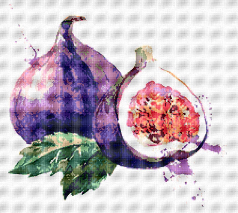 Fig Cross Stitch Pattern 1 Instant PDF Download Figs Fruit | Etsy