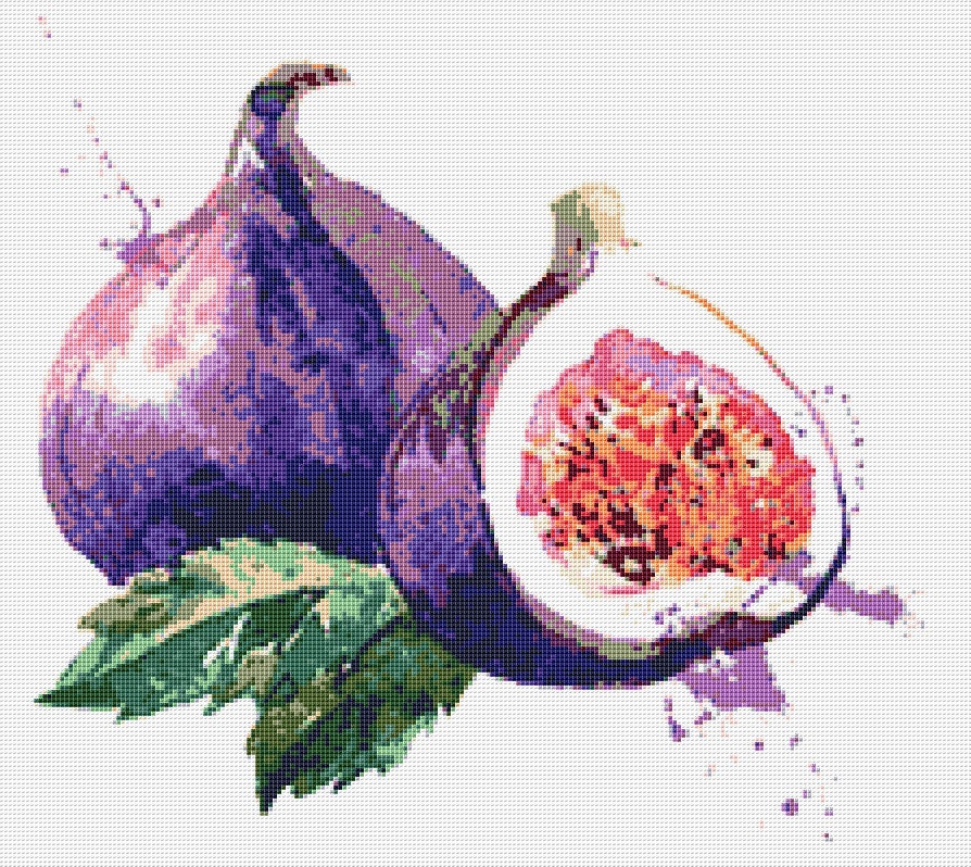 Fig Cross Stitch Pattern 1 Instant PDF Download Figs Fruit | Etsy
