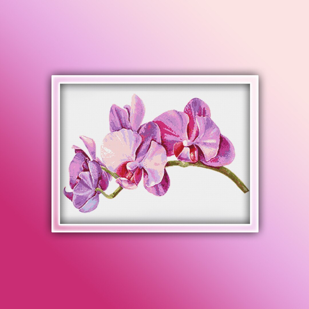 Orchid Cross Stitch Pattern 14 Instant PDF Download - Flowers ...
