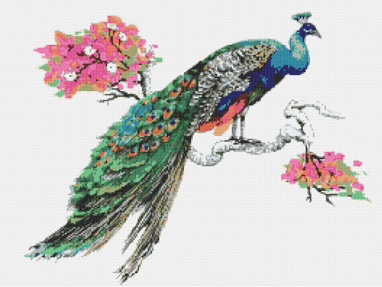 Peacock Cross Stitch Pattern 6 Instant PDF Download Peacock | Etsy