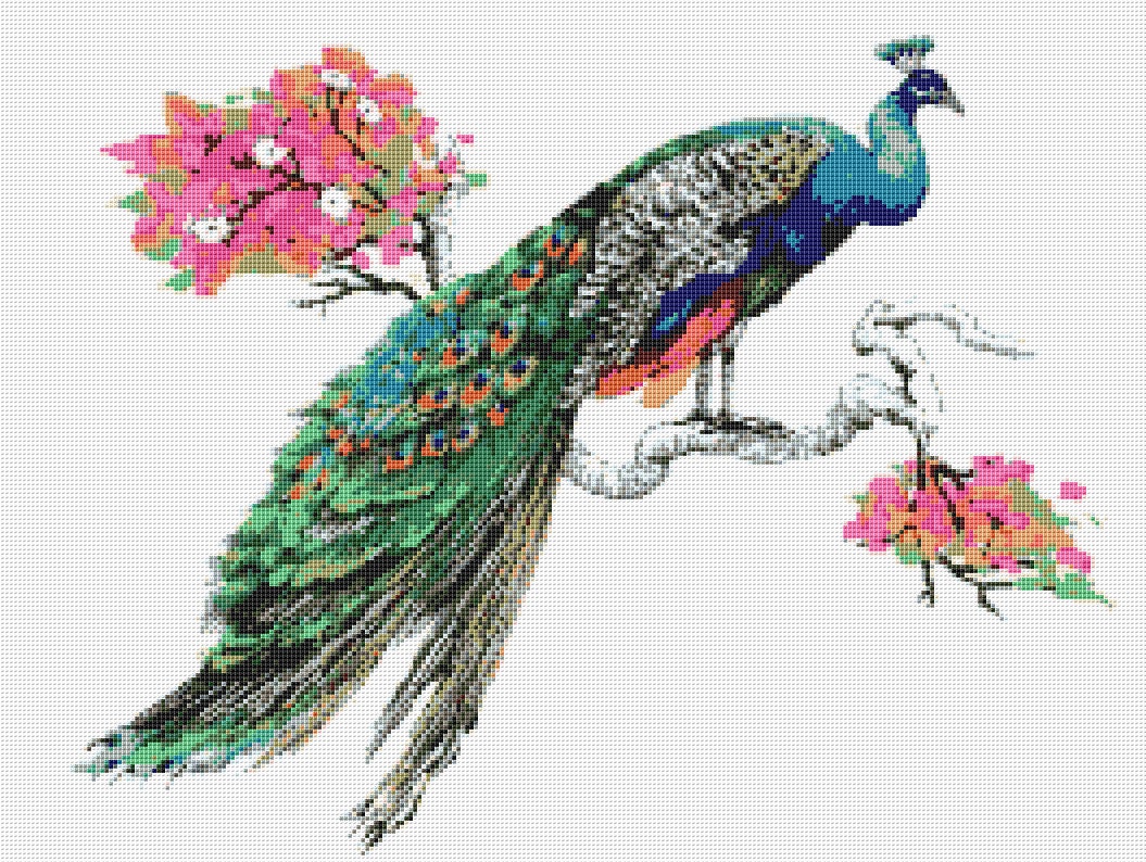 Peacock Cross Stitch Pattern 6 Instant PDF Download Peacock - Etsy