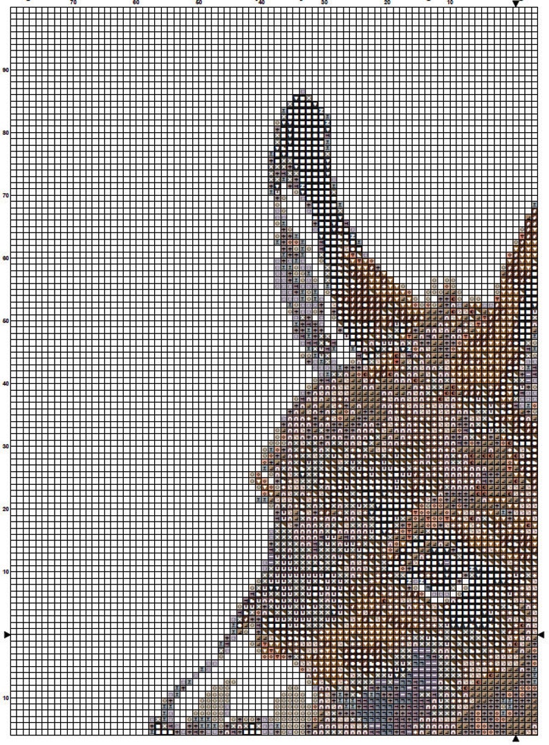 Baby Donkey Cross Stitch Pattern 1 Instant Download Instant - Etsy