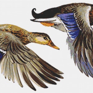 Duck Mallard Cross Stitch Pattern 1 Duck Watercolor Cross | Etsy