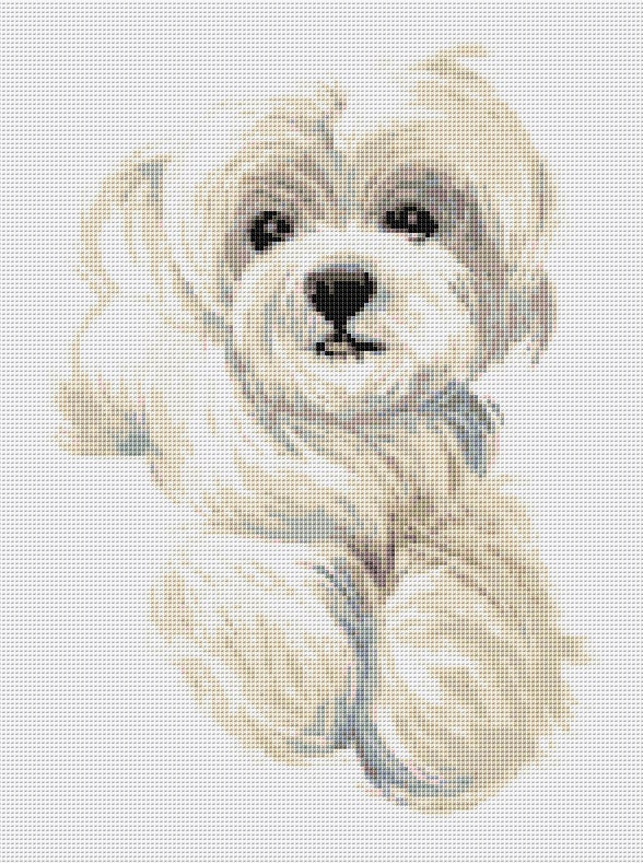 Maltese Cross Stitch Pattern 1 Instant PDF Download Maltese | Etsy