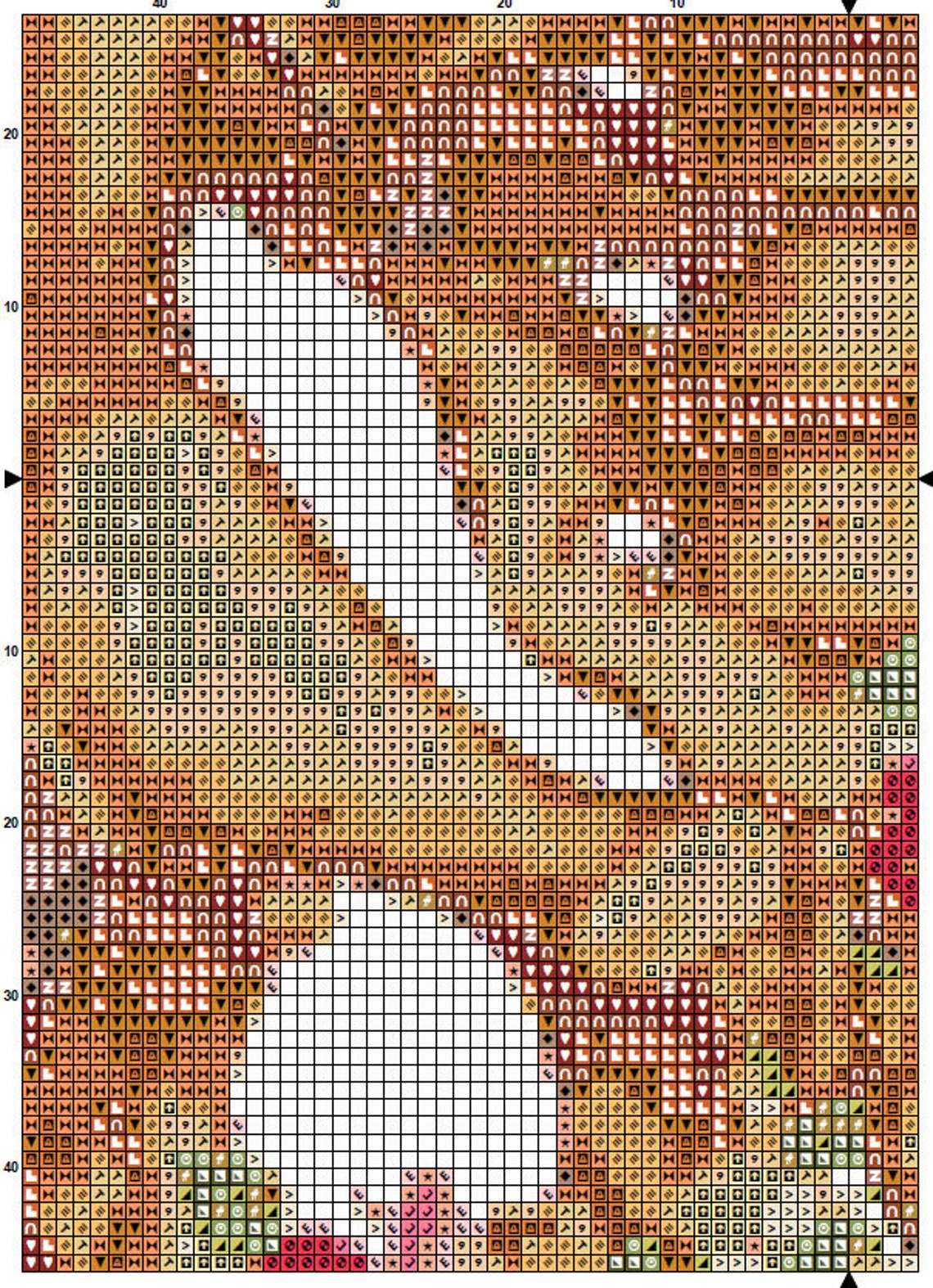 Anatomy Pelvis Cross Stitch Pattern 3 Instant PDF Download - Etsy