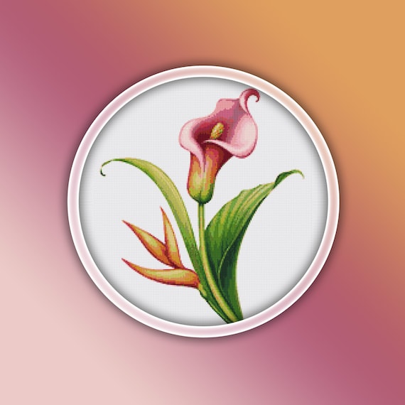 Calla Lily Drawing Pattern