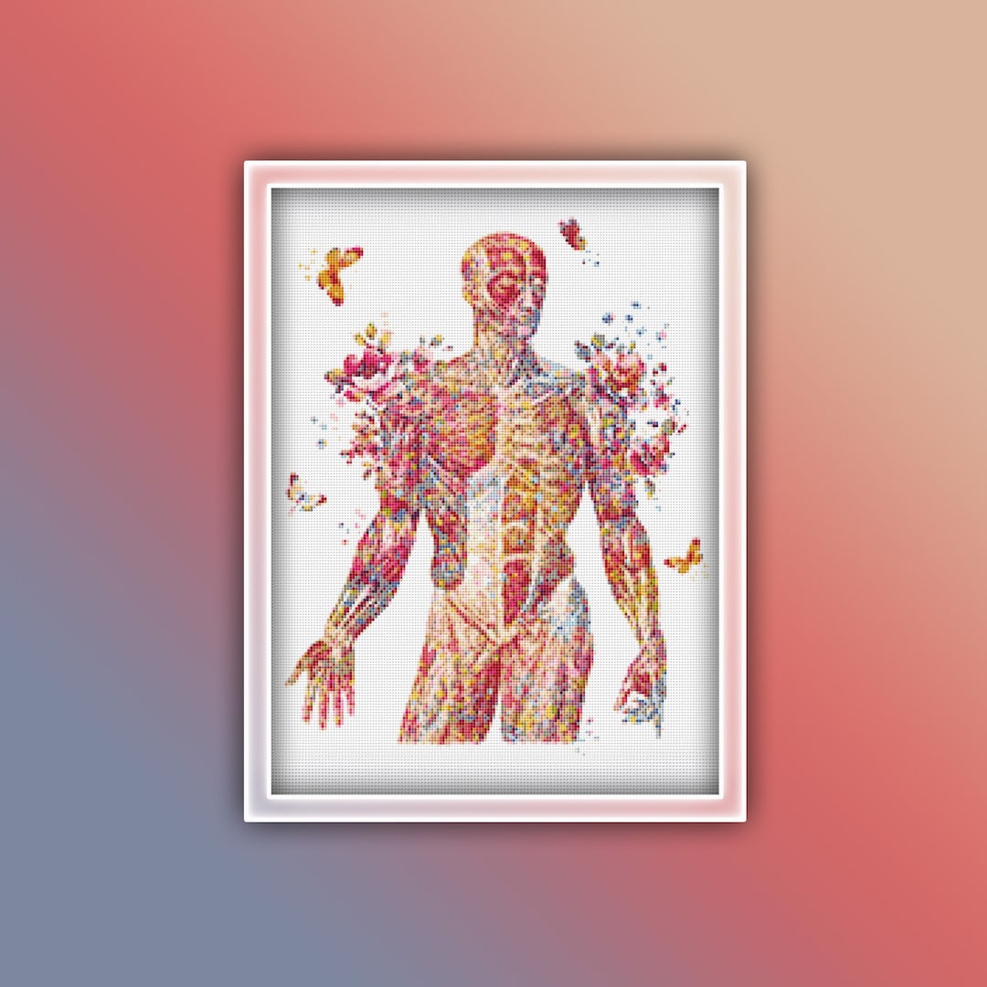 Anatomy Torso Cross Stitch Pattern 3 Instant PDF Download | Muscle ...