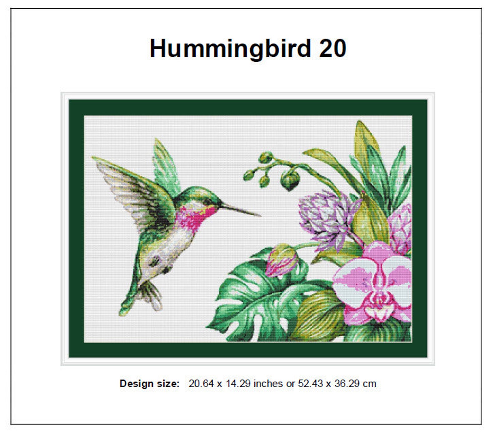 Hummingbird Cross Stitch Pattern 20 Instant PDF Download - Etsy