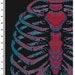 Anatomy Ribcage Cross Stitch Pattern Instant PDF Download - Watercolor ...